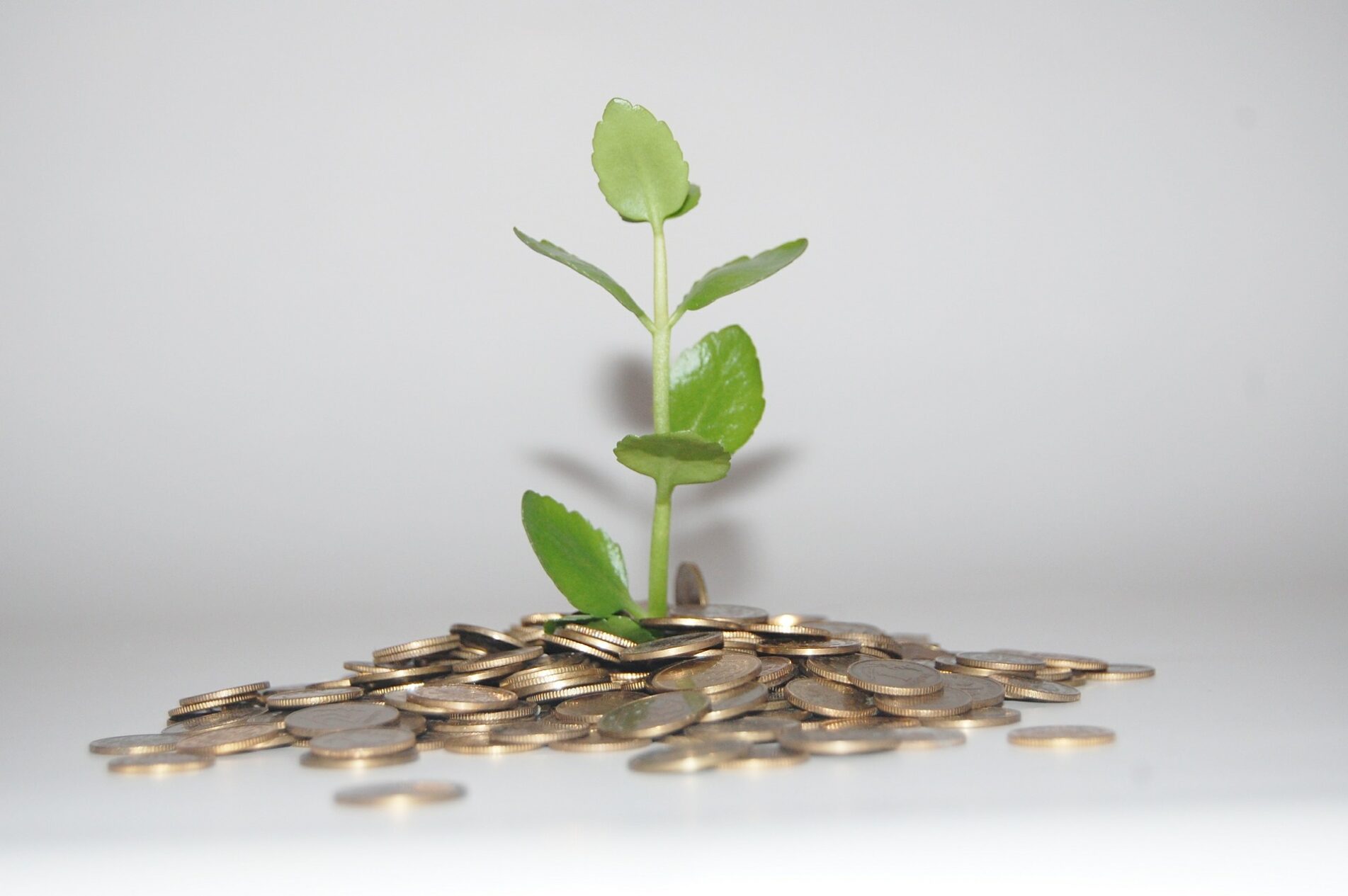The Best Aggressive Growth ETFs to Buy in 2025 - MoneyMagpie