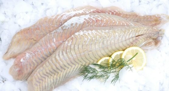 Budget meals for students - cheap fish recipes for a week for £3.99