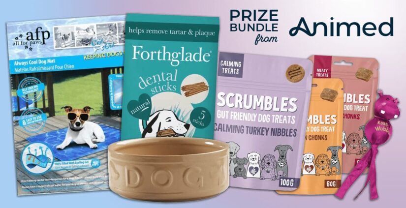 WIN! Animed Pet Bundle of Goodies - MoneyMagpie